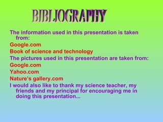 Newton S Third Law PPT Physics Science