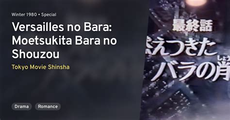 Versailles No Bara Moetsukita Bara No Shouzou · Anilist