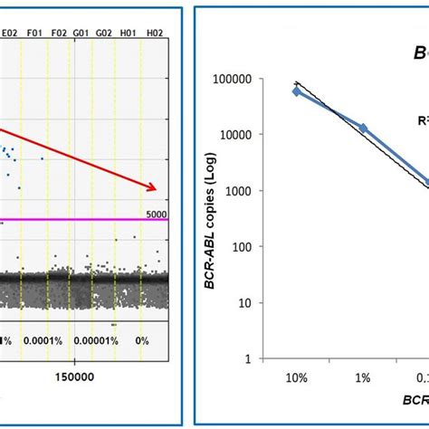 Assessment Of Detection Performance Of Dpcr System In Rna Samples Download Scientific Diagram