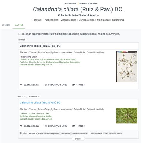 Occurrence Clustering Technical Documentation