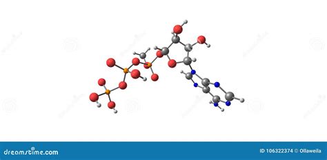 Adenosine Triphosphate Atp Molecular Structure Vector Illustration