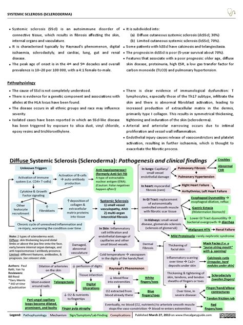 Systemic Sclerosis Scleroderma Pdf Causes Of Death Diseases And