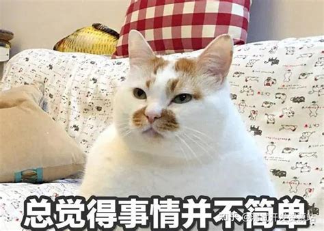 零基础学Java之数据类型与变量上集 知乎