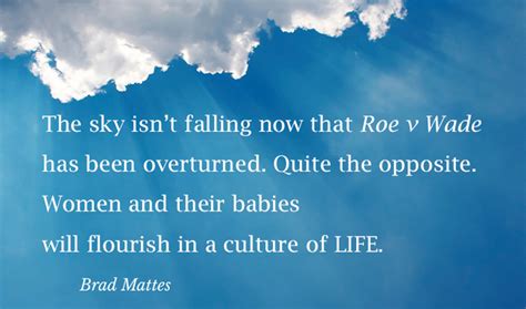 the sky isn t falling life issueslife issues