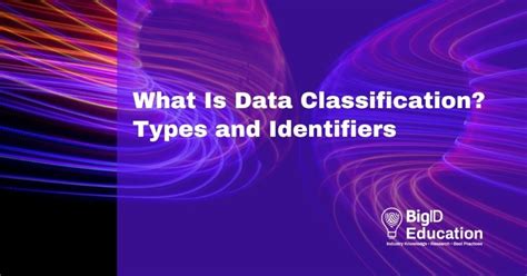 What Is Data Classification Types And Identifiers Bigid