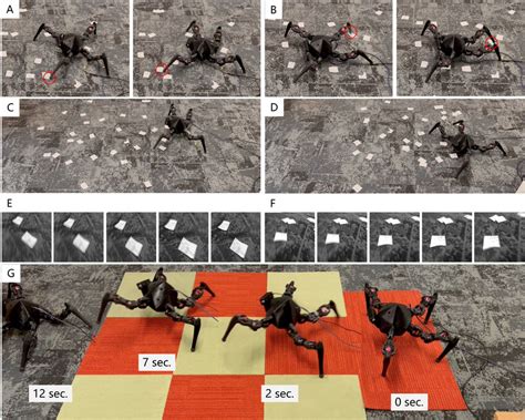 Assessing Egocentric Visual Self Models On Unseen Terrain A B C D
