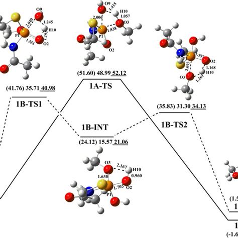 Optimized Structures Of The Transition States At The Download