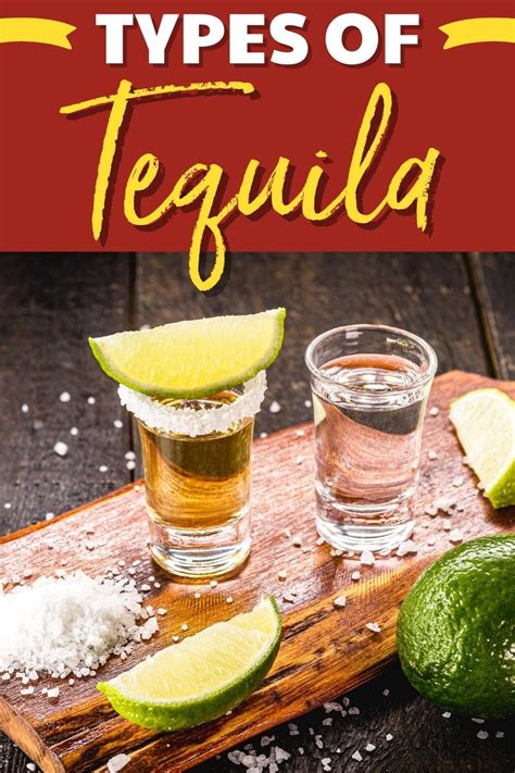 6 Types Of Tequila How To Drink Them Insanely Good