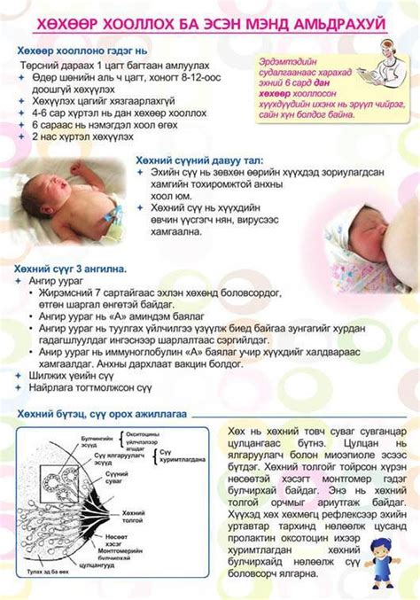 Хөхөөр хооллох БЗД 12 р хороо Амгалан Итгэлэхүй ӨЭМТ Facebook