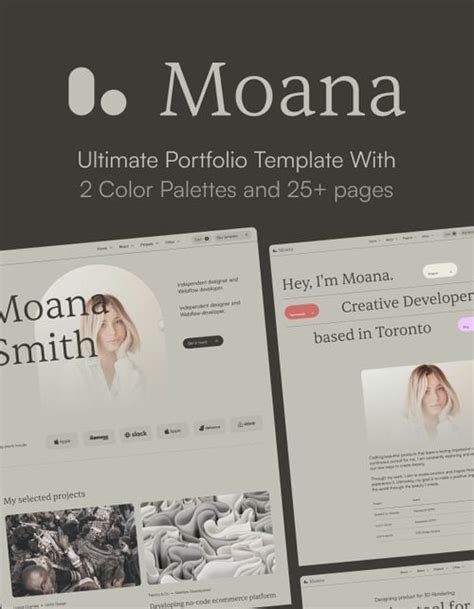 Developer Portfolio Website Templates