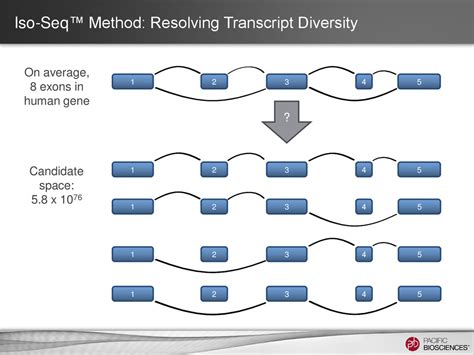 Track 1 Isoseq Speaker Deck
