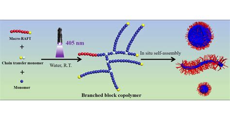 Efficient Preparation Of Branched Block Copolymer Assemblies By Photoinitiated Raft Self