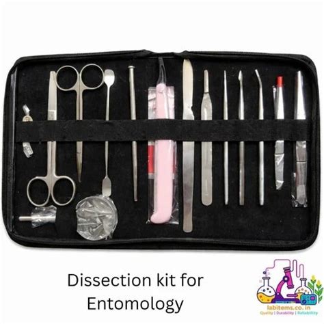 Dissection Sets Dissection Kit For Entomology Scholars Manufacturer