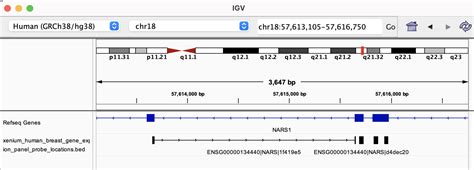 pre designed xenium gene expression panels official 10x genomics support