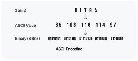 What Is A Text Editor Help Me Choose One UltraEdit
