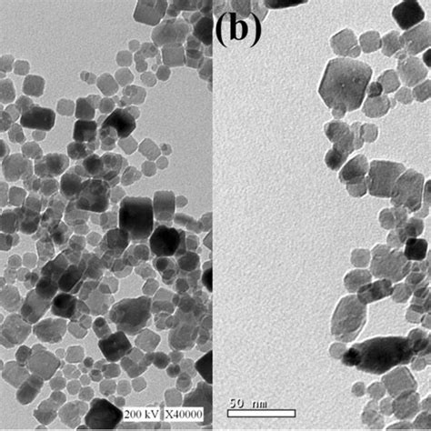Sem Micrographs Of The Synthesized Co3o4 Nanoparticles And The Download Scientific Diagram