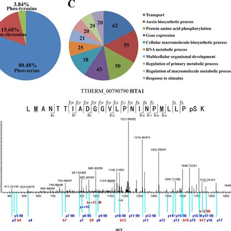 Phagocytosis Of Different Concentrations Of India Ink By Tetrahymena