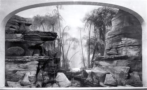 Devonian Life On Land Ny Rocks Ancient Life Of The Empire State