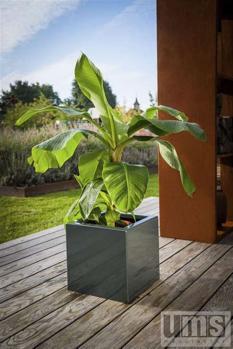 Pflanzgefäße Pflanzentöpfe And Pflanzenkübel Aus Metall Für Haus Und Garten