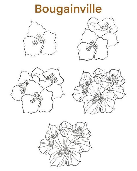 Easy Flower Drawings Step By Step In 2024 Flower Drawing Easy Flower