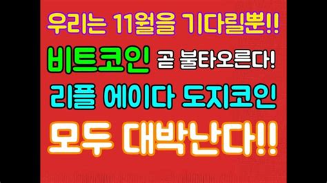 비트코인 리플 에이다 도지코인 모두 불타오른다 Youtube
