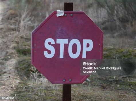 교통 신호 정지 신호 시골 도로 교통 규칙 삼림 벌채를 중지하십시오 오래된 교통 표지판 새로운 교통 표지판 말을 타다 숲길 표시된 비포장 도로 모험 문명 0명에 대한 스톡