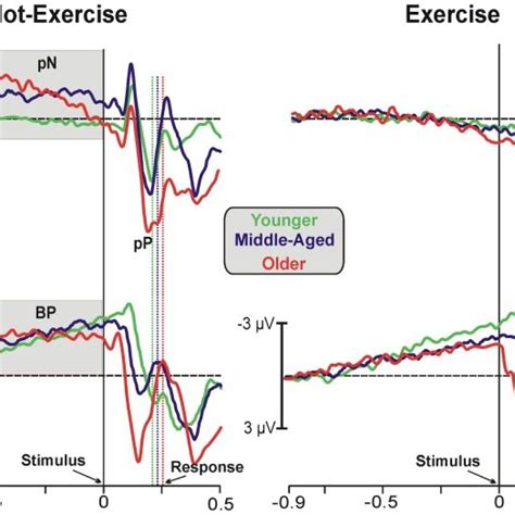 Grand Average Erp Waveforms At The Prefrontal Fp2 And Central Cz