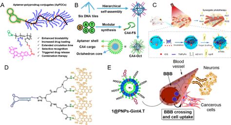 Recent Progress Of Aptamer‒drug Conjugates In Cancer Therapy Pmc