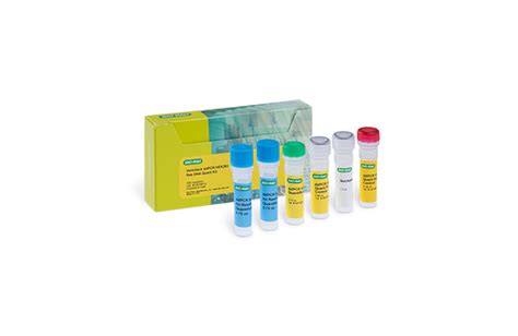 Vericheck Ddpcr™ Mycoplasma Detection Kit