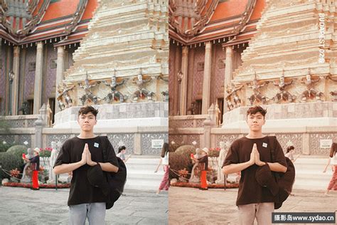 20款怀旧复古奇幻电影胶片人像摄影lr调色预设，ai人工智能lightroom、ps、luts等摄影图片电影视频预设 摄影岛