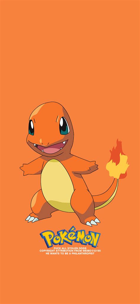 宝可梦 堆糖，美图壁纸兴趣社区