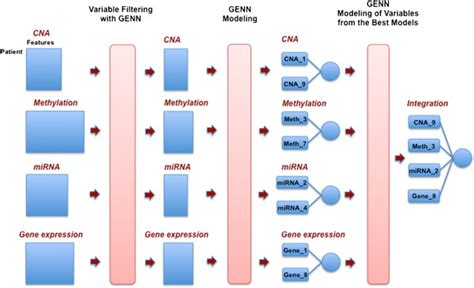 Schematic Overview Of The Pipeline For The Analysis 1 Filtering The Download Scientific
