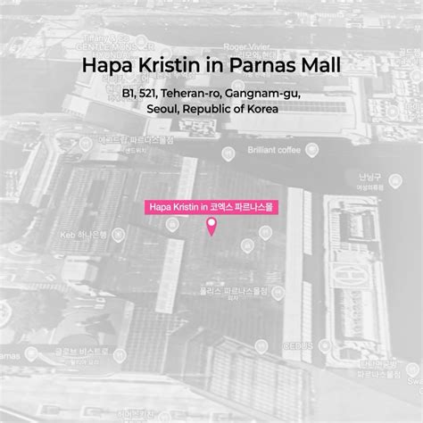 하파크리스틴 Kr 💜𝗧𝘄𝗲𝗲𝗱 𝗞𝗿𝗶𝘀𝘁𝗶𝗻💜 트위드 크리스틴 모브 그레이 차분하고 깊은 매력적인 모브 그레이 Type 원데이 한달용 L G Dia 13 2mm 🔮