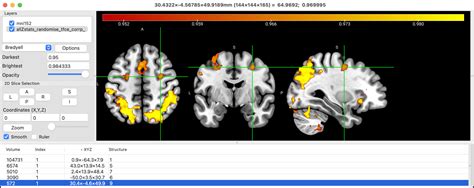 Mricrogl Tutorial 4 Viewing Results — Andys Brain Book 1 0 Documentation