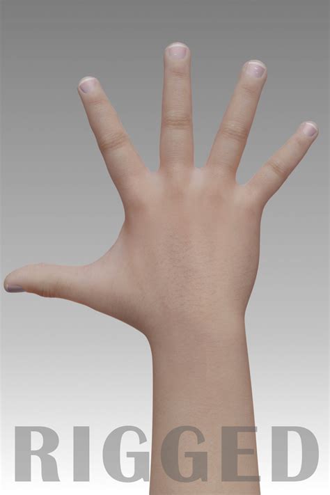 Animated Hand 3d Model 3d Models Download Free3d