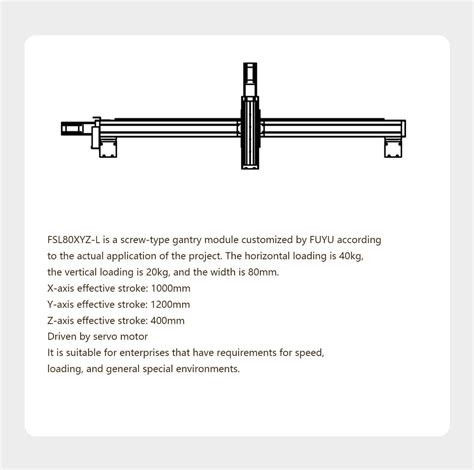 Case Study FUYU Linear Gantry System Customized Stroke Actuator Dustproof Rail Guide Fuyu