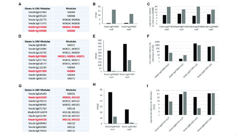 Investigation Of Module Gene Expression Prediction A D G List Of