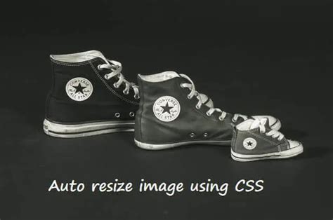 Auto Resize An Image To Fit Into A Html Div Using Css