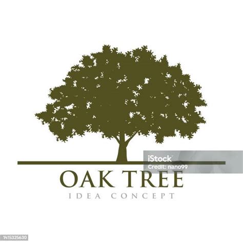 Oak Tree Illustration Design Vector Stock Illustration Download Image