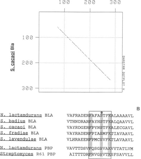 a dotplot analysis of the n lactamdurans b lactamase as compared to