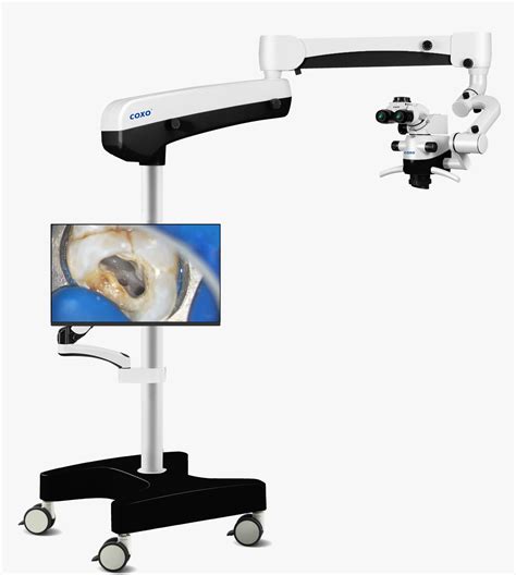 The First Coxo C Clear 2 2025 Microscope In Bulgaria Is Now At