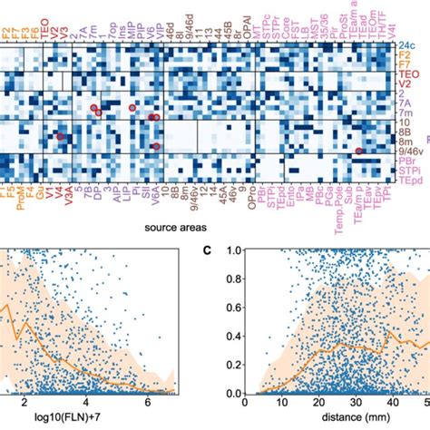 Binary Prediction Heterogeneity In The Macaque Brain A Prediction Download Scientific