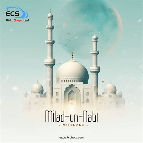 Insiya Y Posted On Linkedin