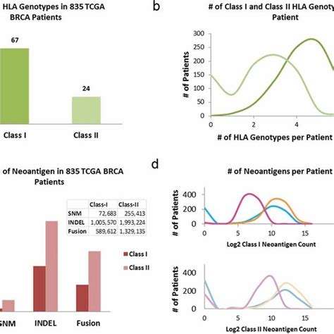 Hla Genotyping And Neoantigen Profiling In 835 Tcga Brca Tumors A Download Scientific