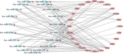Bipartite Gene Mirna Subnetworks For All Of The Clusters A Cluster Download Scientific