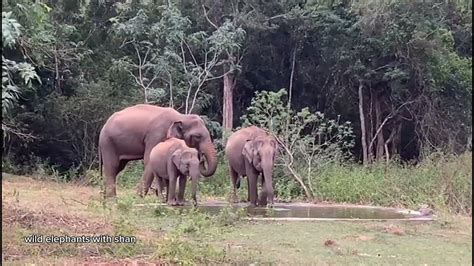 ඒයි මොකක්ද ඔය කරන්නෙ මට වතුර බොන්න දෙන්න 😂🙄 Youtube