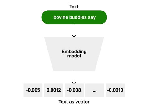 A Beginners Guide To Vector Embeddings