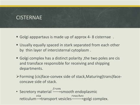 Golgi Apparatus Ppt Introduction Structure And Function Pptx
