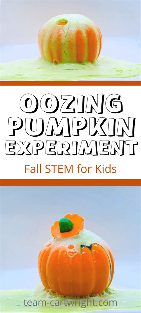 magic spider web experiment halloween steam activity