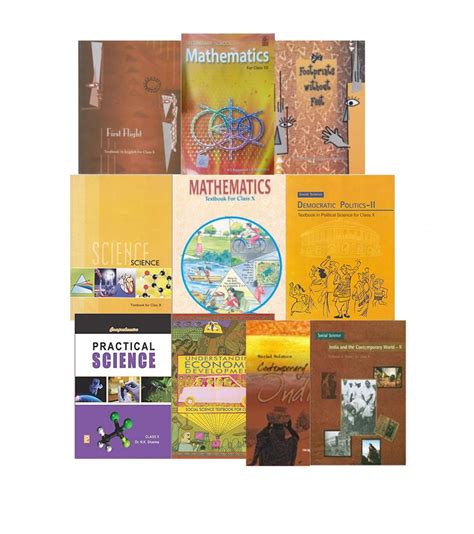 Dps Nerul Textbooks Set For Class 10 Set Of 14 Books Latest Edition